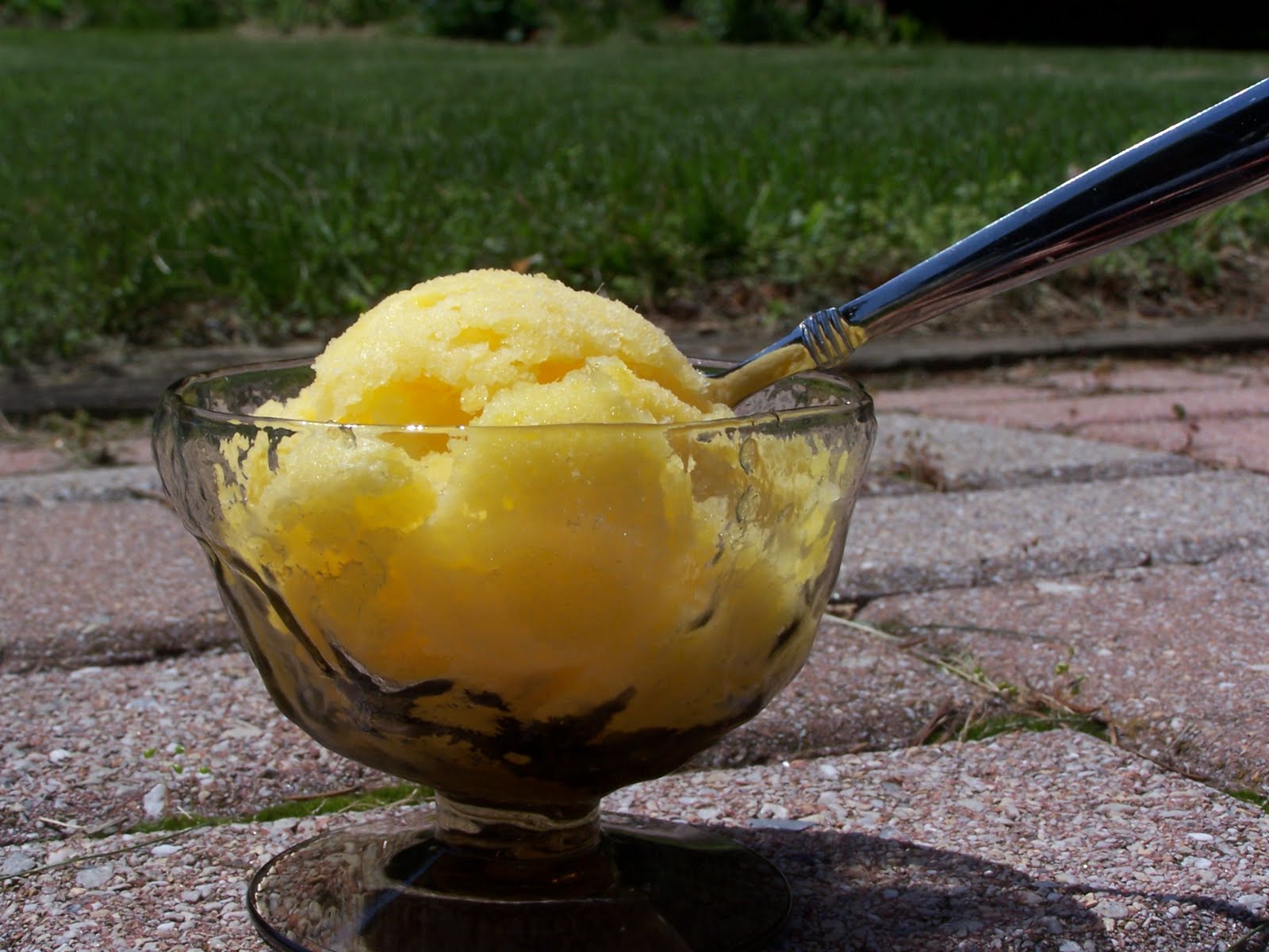 good sazon: Mango Sorbet