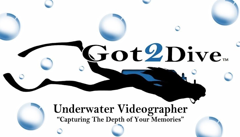 Got2Dive: 40 Fathom Grotto