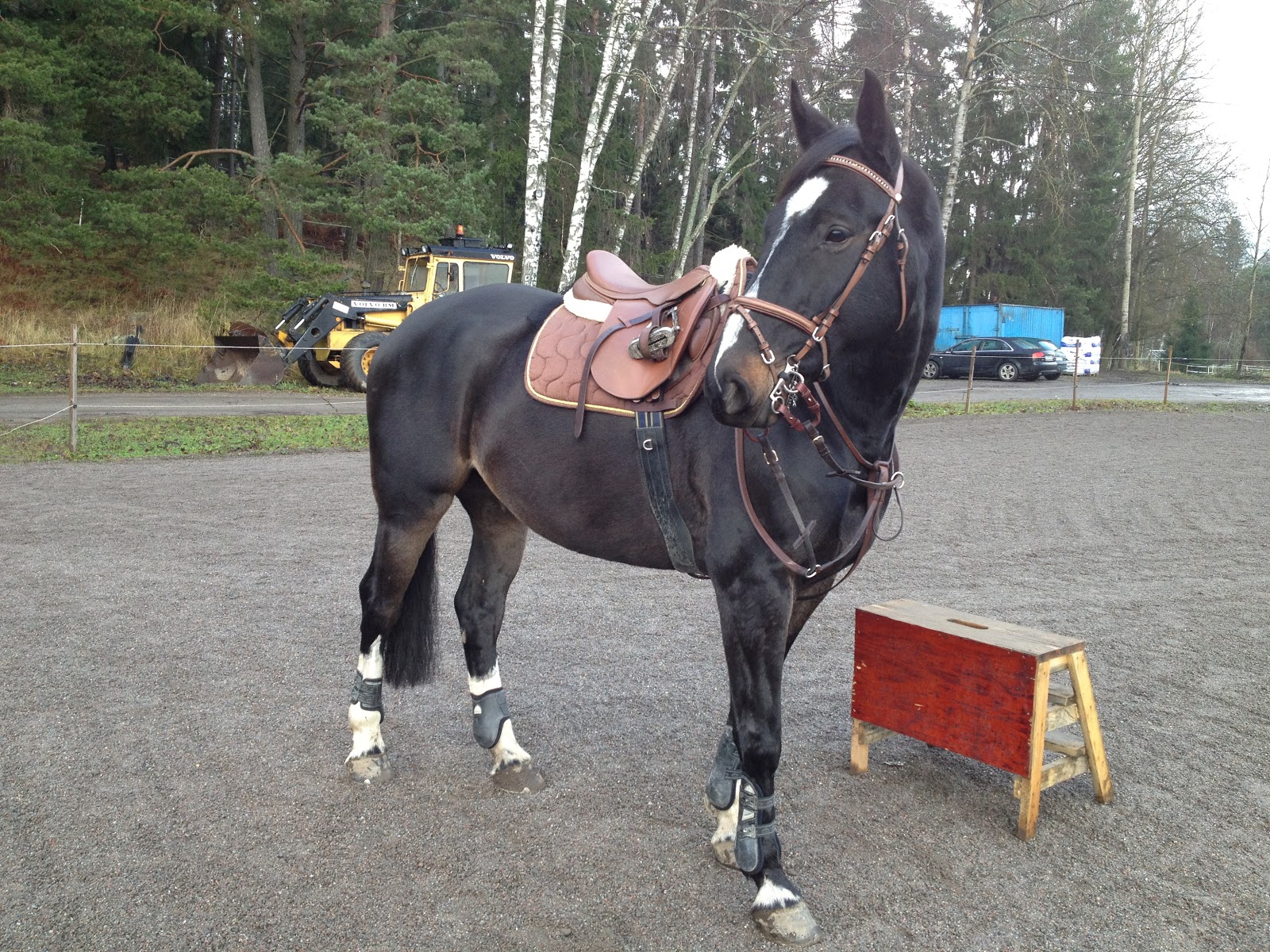 Jessica Pira: Hoppträning för Pontus westergren på onsdag at Runsten!!