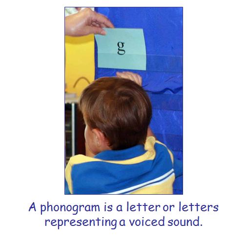 STEPS Reading Center: Spotlight on Phonograms