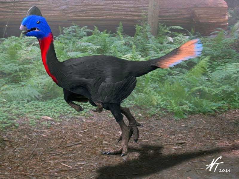 Anzu wyliei | Spinops