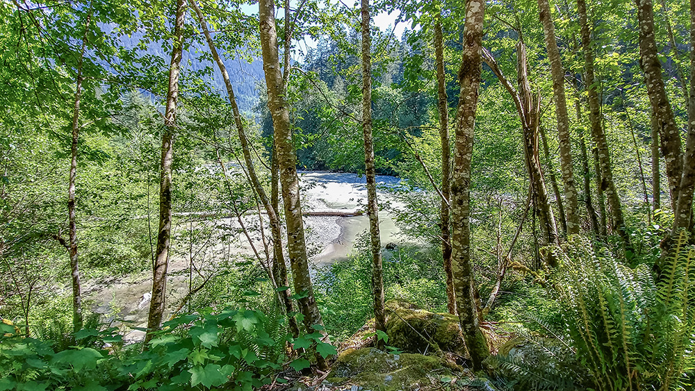 Merikay's Dream : Who is Andrew McCulloch?