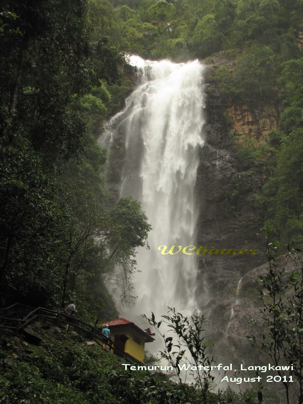 Dreaming of Pandora Forest - LANGKAWI NATURE BLOG, CONSERVATION ISSUES ...