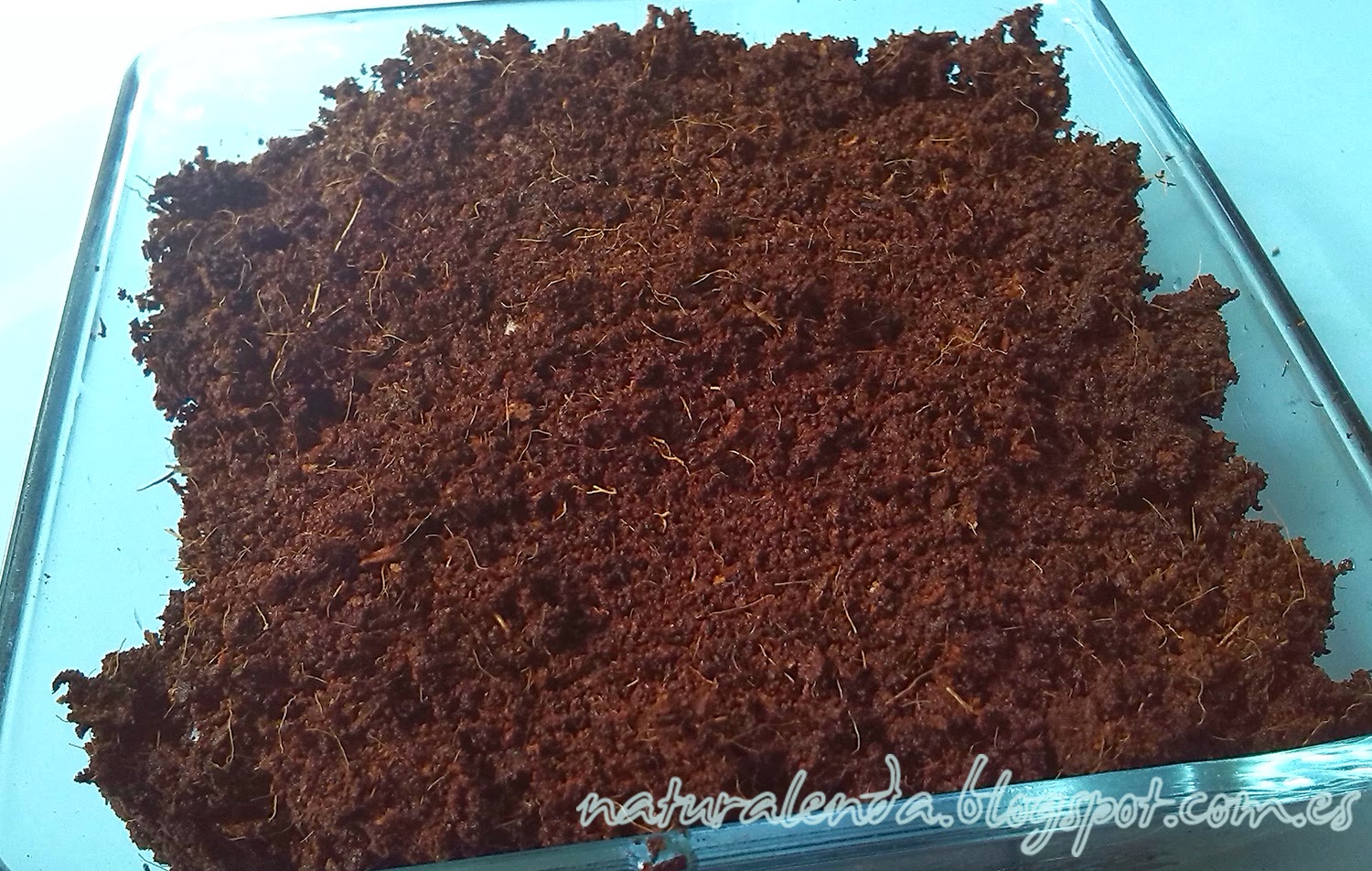 La naturaleza en casa: Turba o fibra de coco