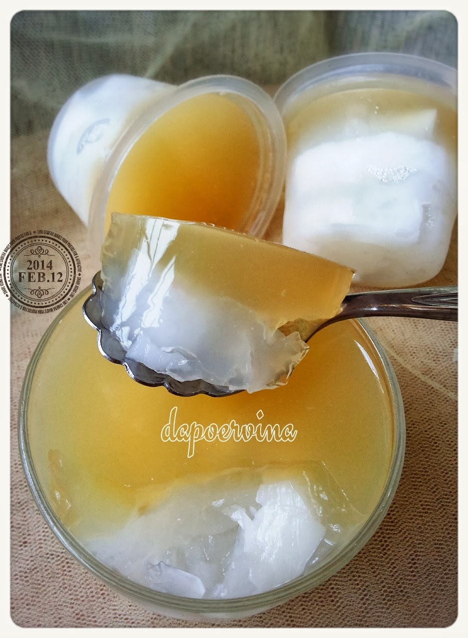 Dapoer Vina : Puding Kelapa Muda