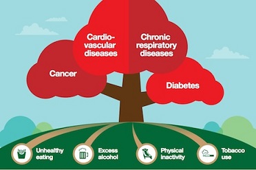 Consequences of Non Communicable Diseases (NCD) and Prevention ...
