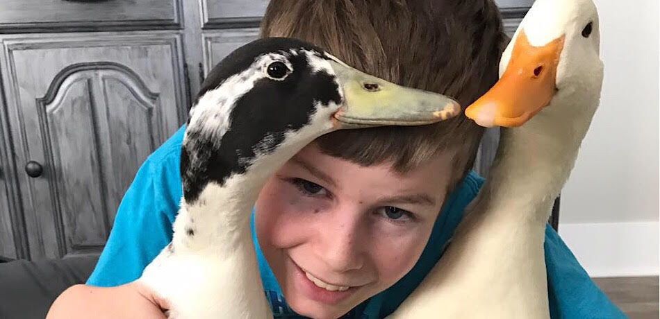 WEST MICHIGAN POLITICS: State Rep. Roger Victory And Joe Haveman Back ...