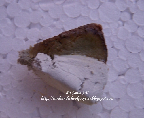 Cards and Crafts : Mseal Art Altered Project- Lady birds and Mseal Art ...