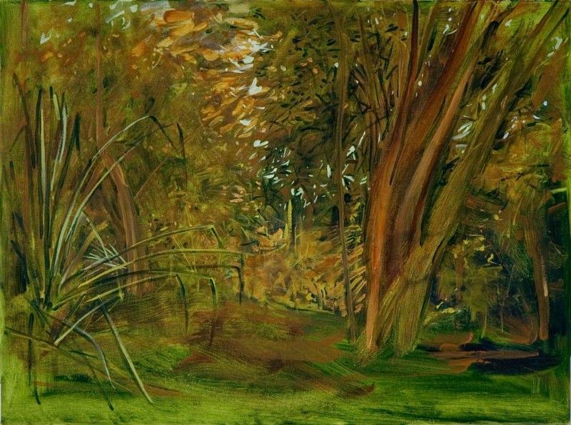 Art Around Oahu: NOREEN NAUGHTON