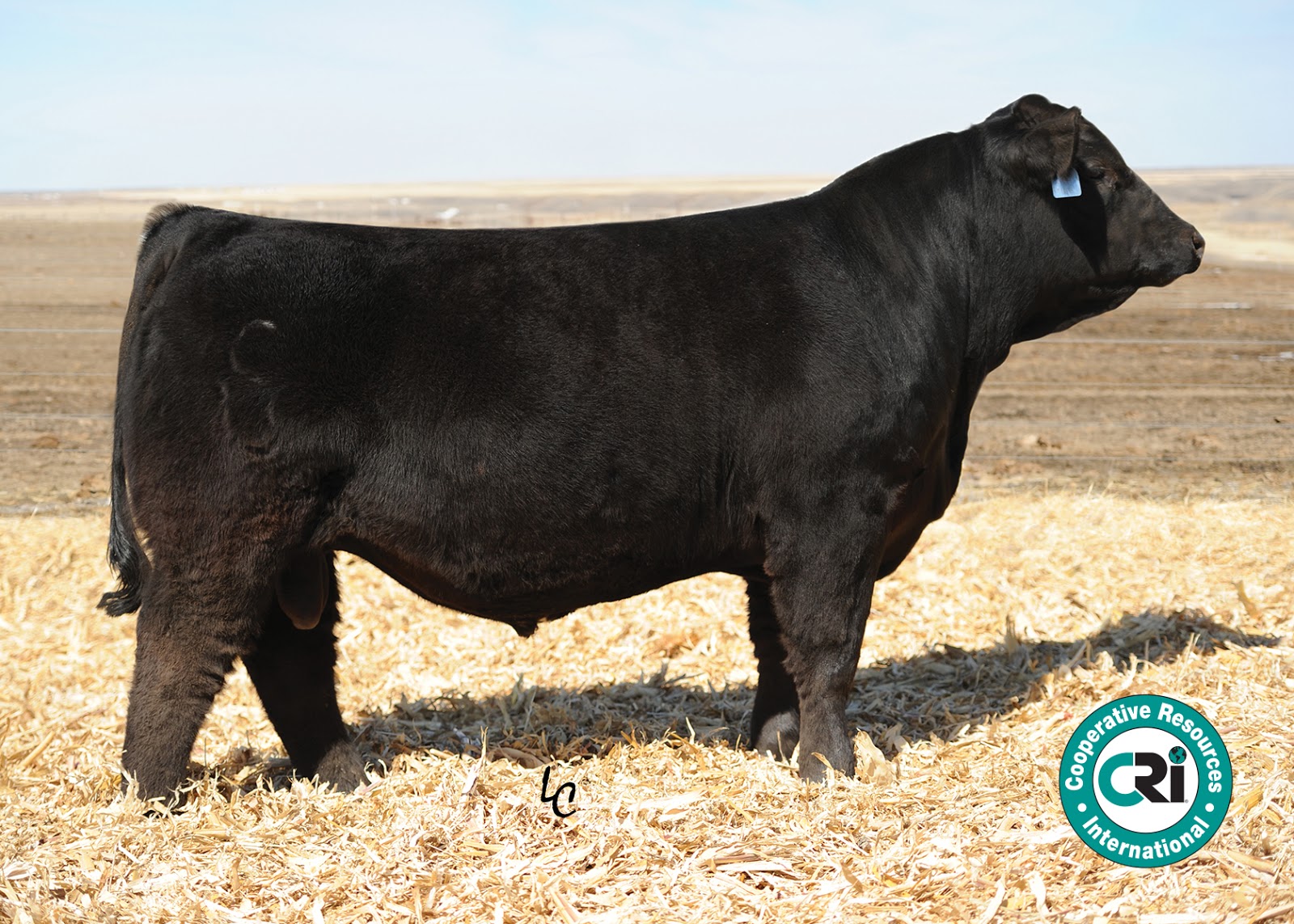 The GENEX Blog: On the Road with Lorna and Willie