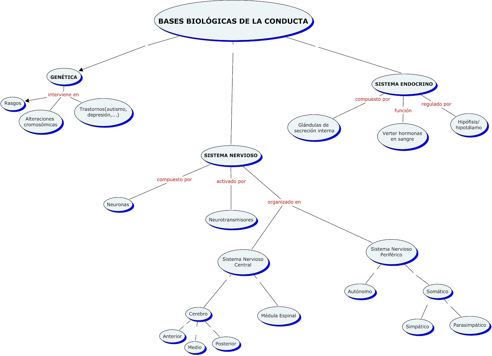Jaime Jose Piña Arangure: Bases Biológicas de la Conducta