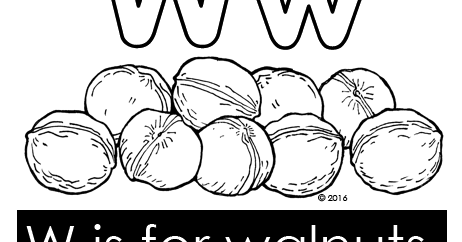 Crayon Palace: "W is for walnuts" alphabet coloring page