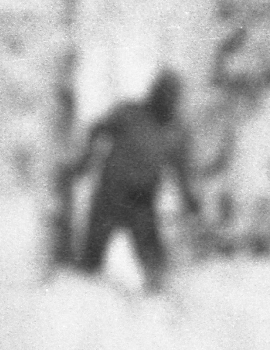 El Blog de Espacial.org: El Menk o Yeti ruso: ¿revelado?