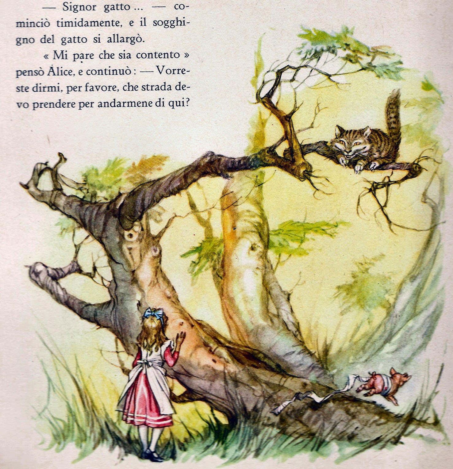 Soloillustratori: Libico Maraja