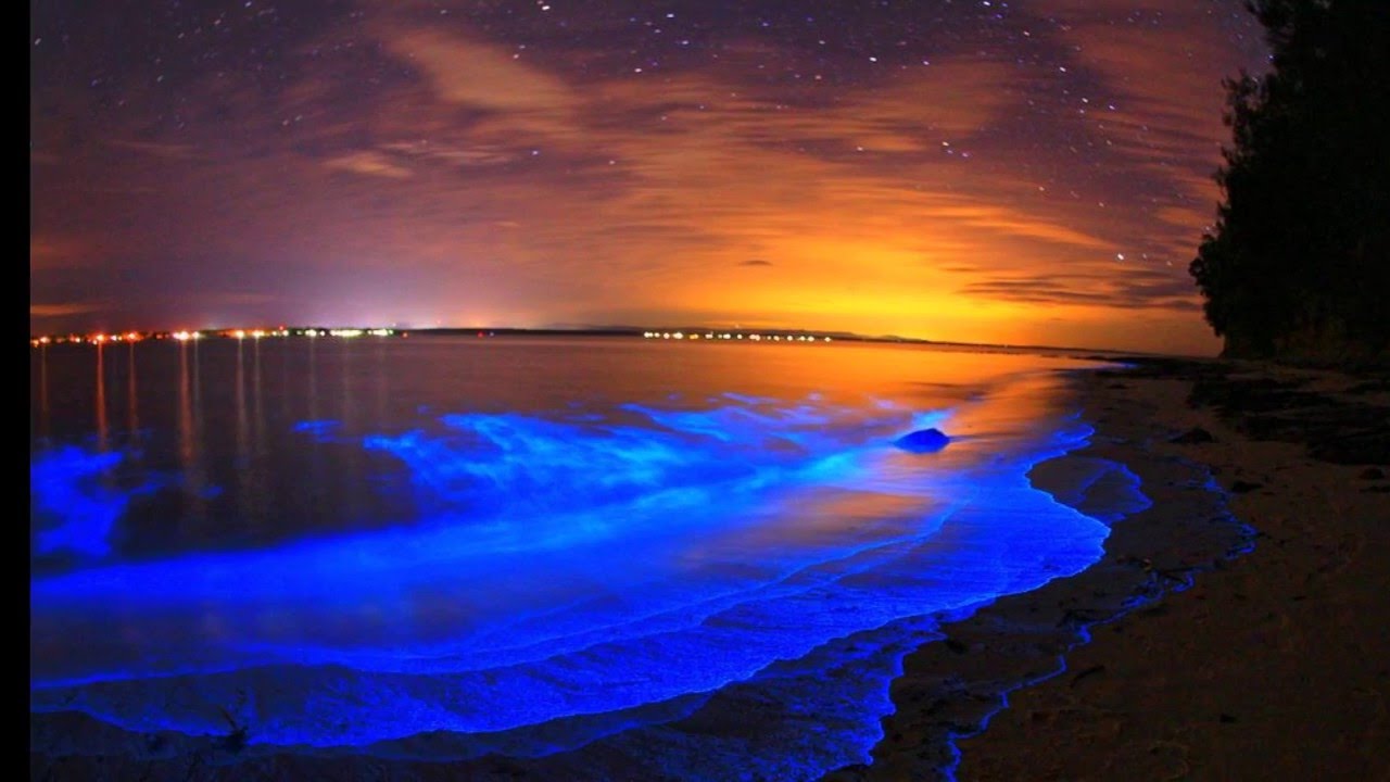 Imagenes Puerto Rico: Fotos HD de las bahías de bioluminiscentes de ...