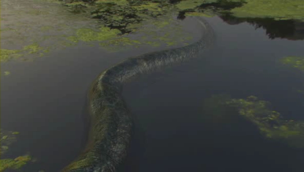 Todo El Terror Del Mundo: Anguilas Asesinas (Razortooth) (Саблезубая ...