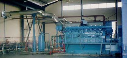 Pembangkit Listrik Tenaga Diesel (PLTD) ~ Agus Huri