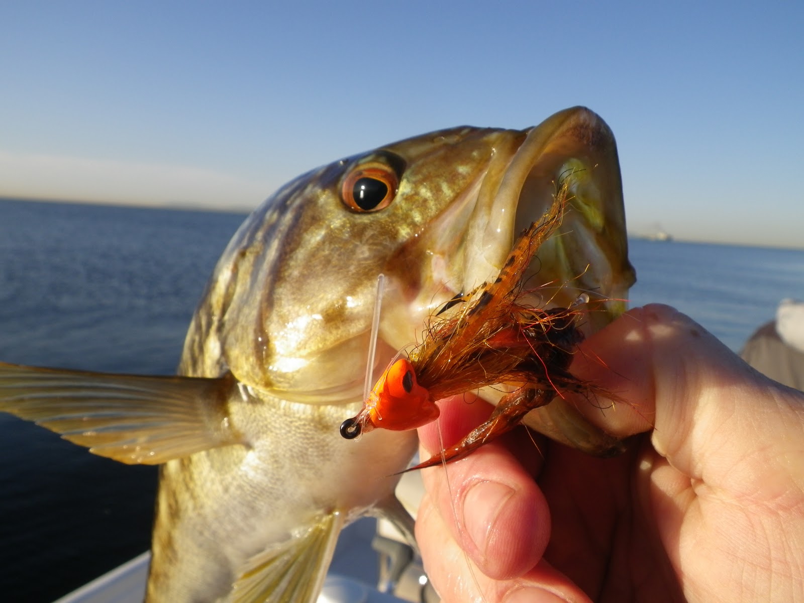Alex Cady Fly Fishing