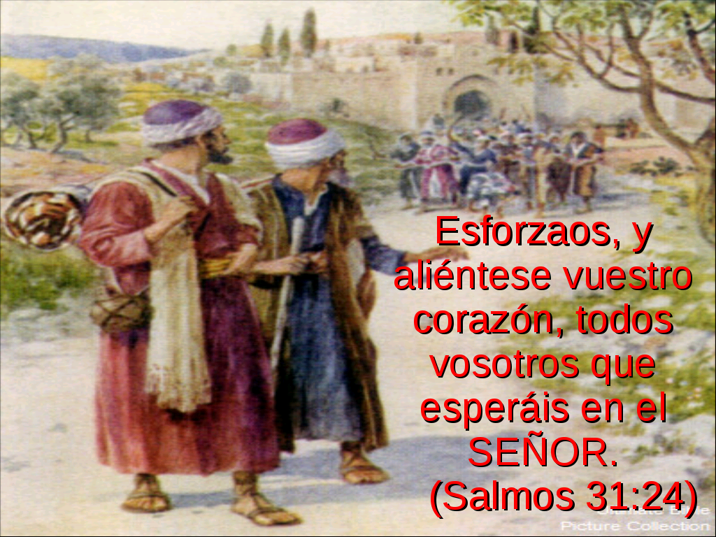 Dios da Palabra: Esforzaos, y aliéntese vuestro corazón.