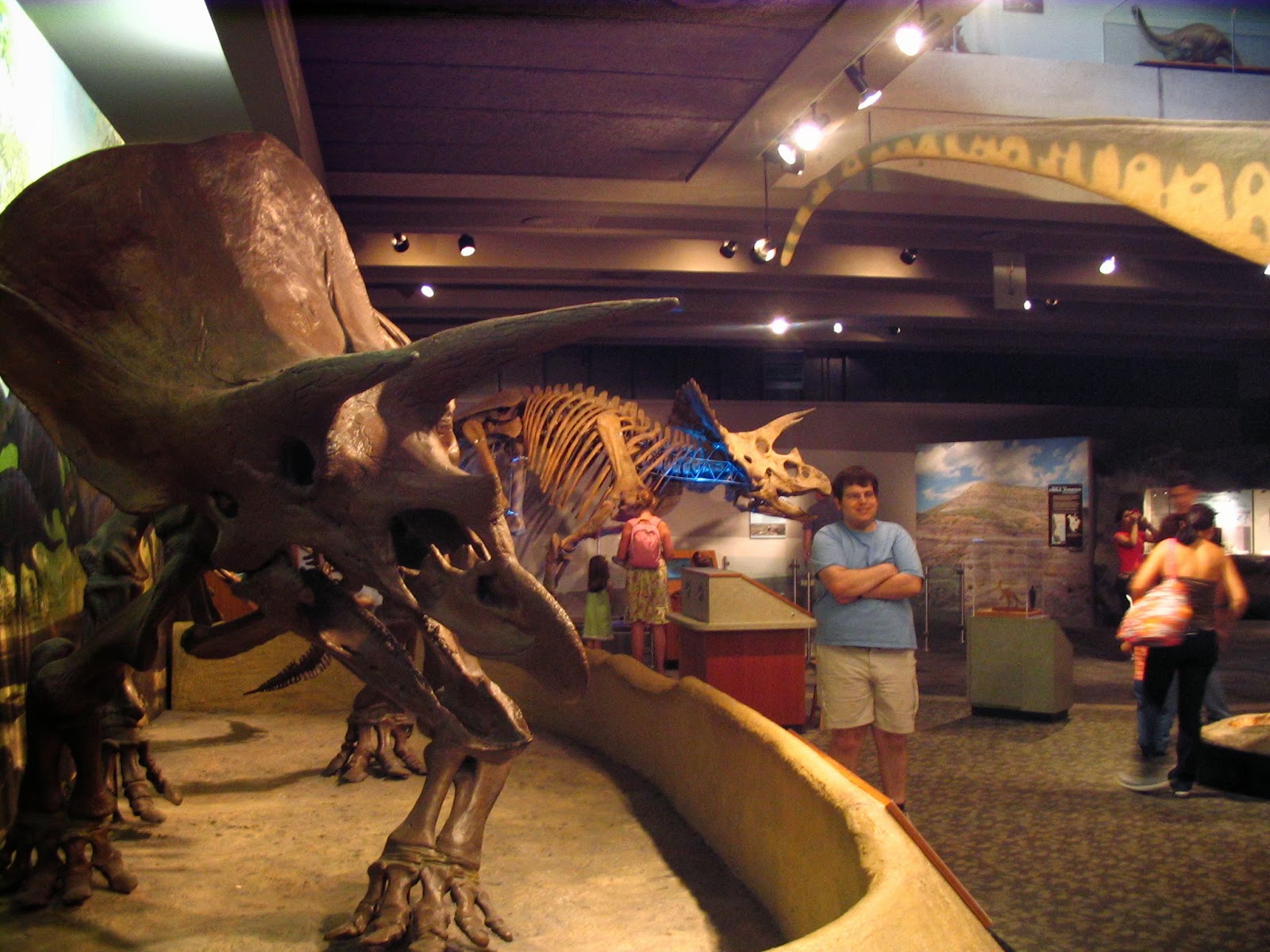 What happens when a non-accredited paleontology fan blogs: An overview ...