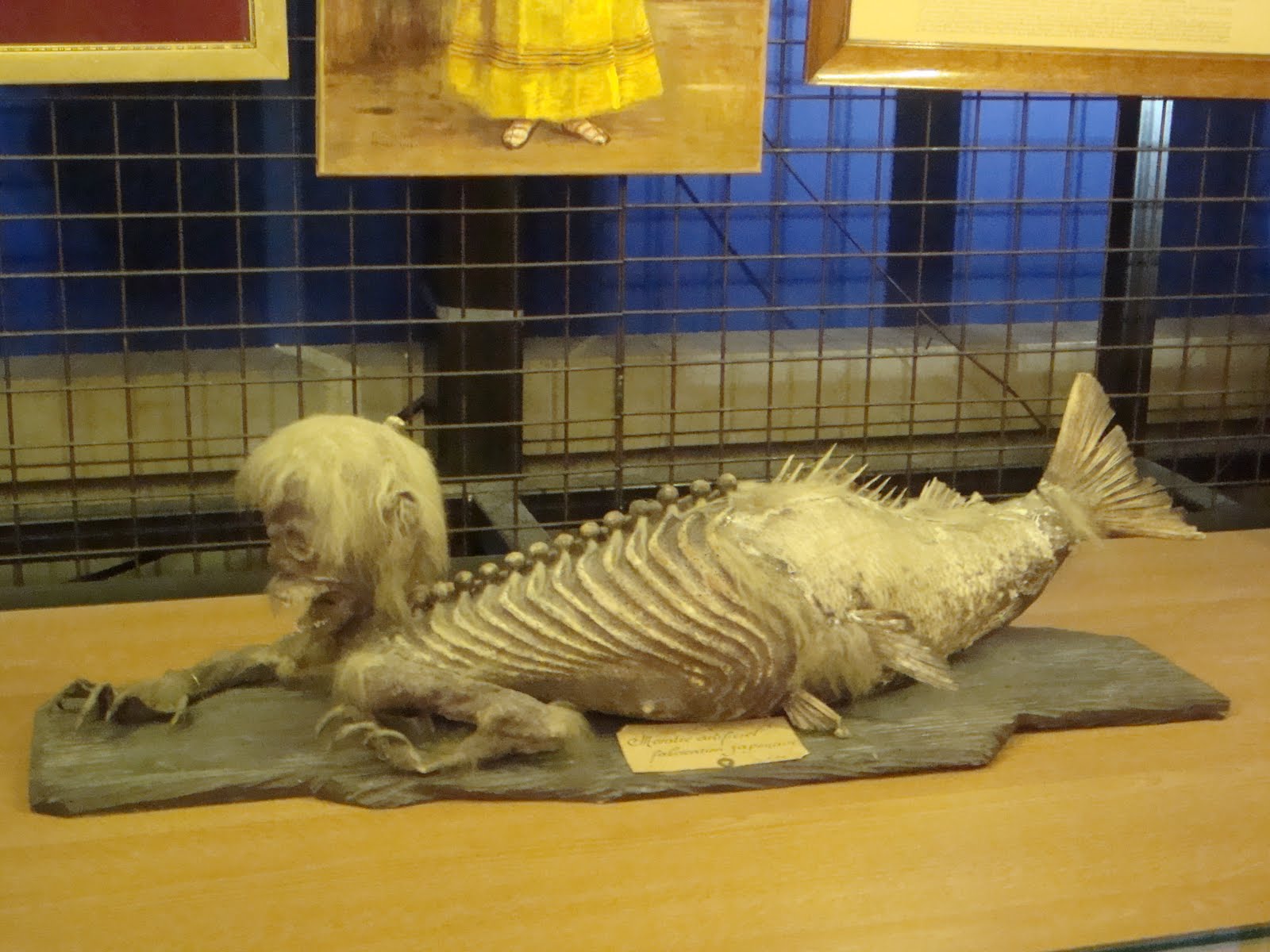 L A F A N İ N O: KAPTAN COUSTO-Deniz Canlıları Müzesi