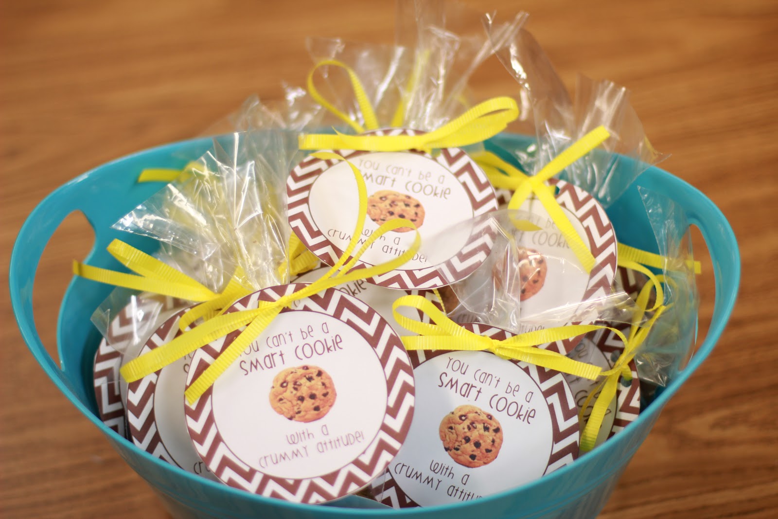 Run! Miss Nelson's Got the Camera: Open House Freebie and GIVEAWAY