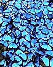 Kit Grindstaff: MY FIRST SCHOOL VISIT: An Alarming Experience, and a ...