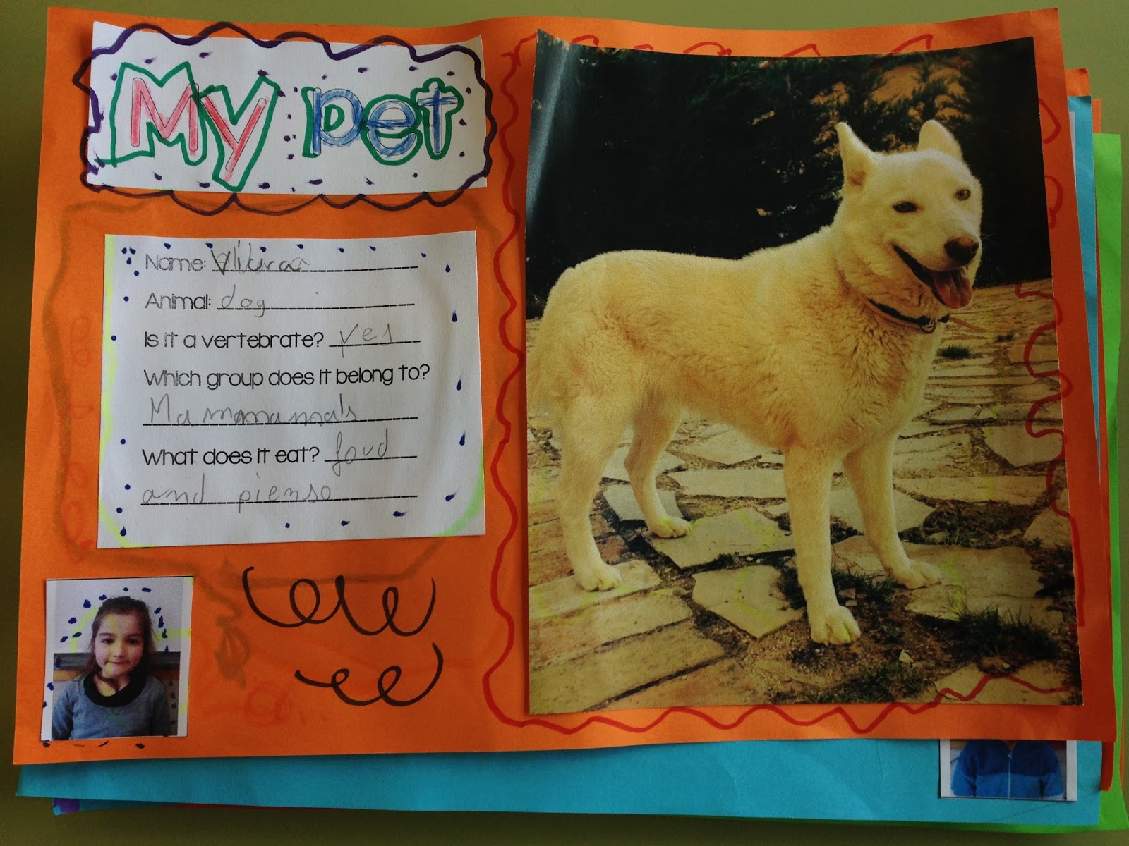 SCIENCE IN THE SCHOOL: October 2015