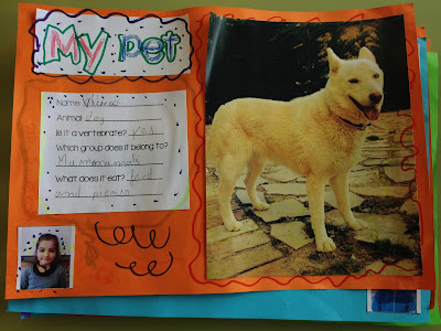 SCIENCE IN THE SCHOOL: October 2015
