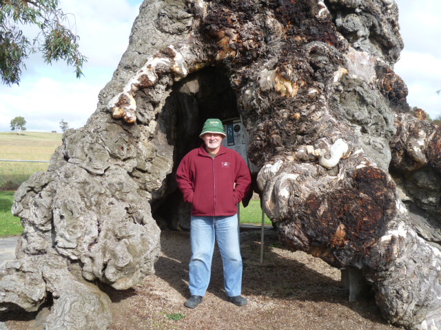 Whereiswitchwae?: Herbig Family Tree @ Springton