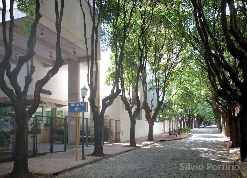 Minha Araraquara: UNIARA - Centro Universitário de Araraquara