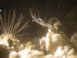 T-Mac's Earth & Space Science: Assignment #19 (due 11.17)