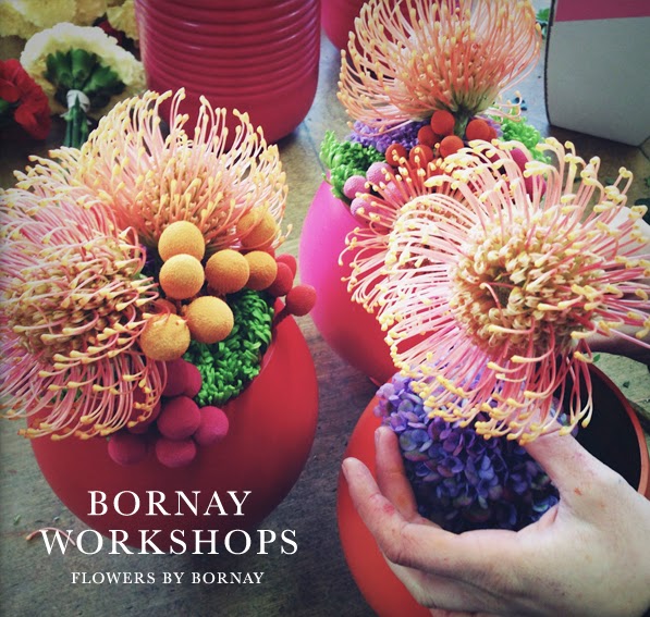 BORNAY: BORNAY WORKSHOPS!