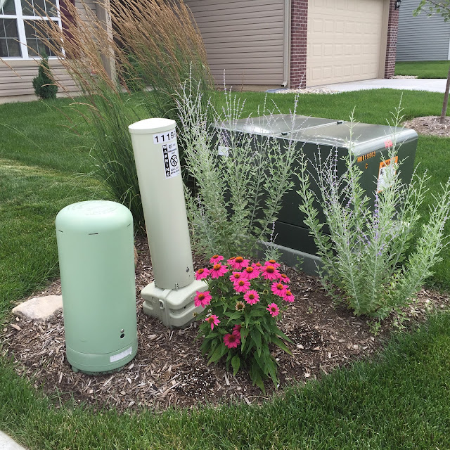 Backyard Neophyte Landscaping Blog: July 2015
