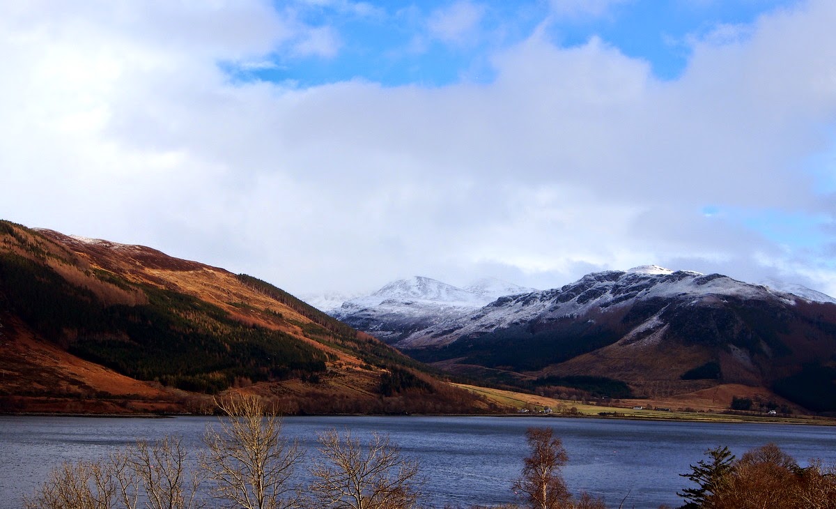 Brookwood Letters: Faffing