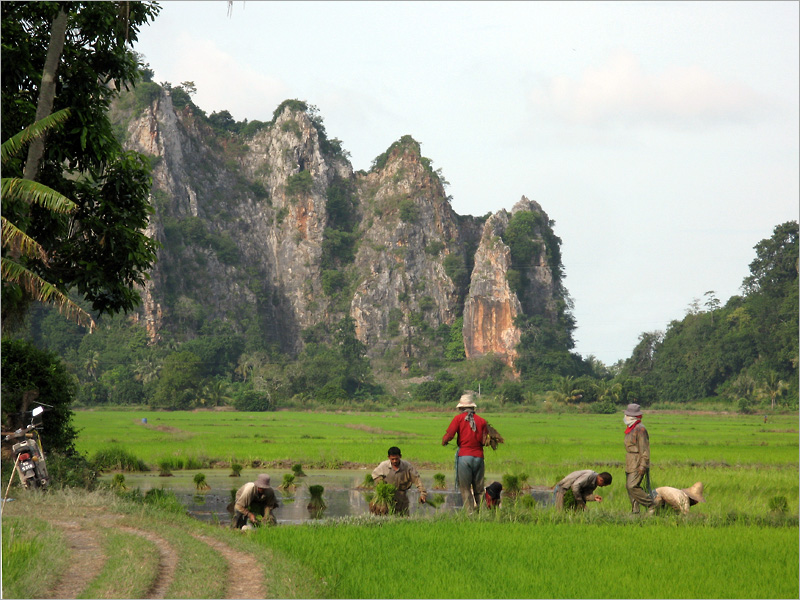 KODIANG AGRARIAN EXPO 2012: About the location