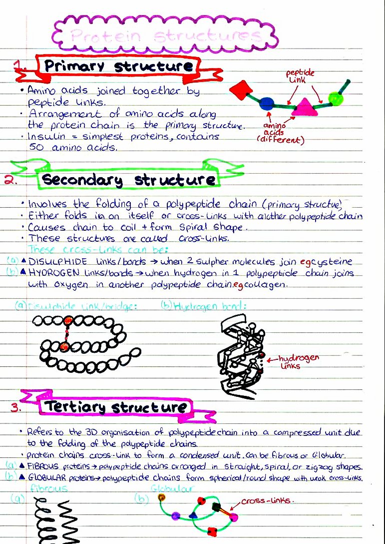 Study Notes By Kaz: Home Economics