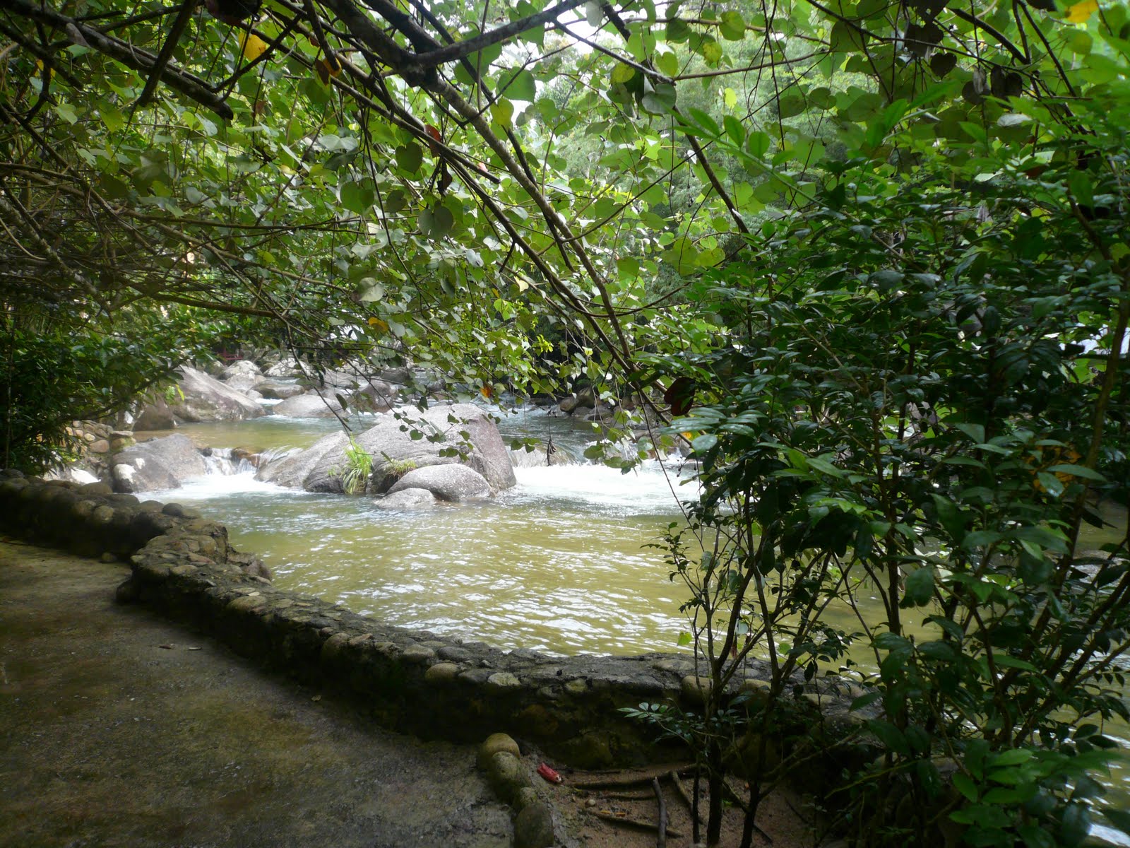 Kalumpang Resort & Training Centre: Pemandangan