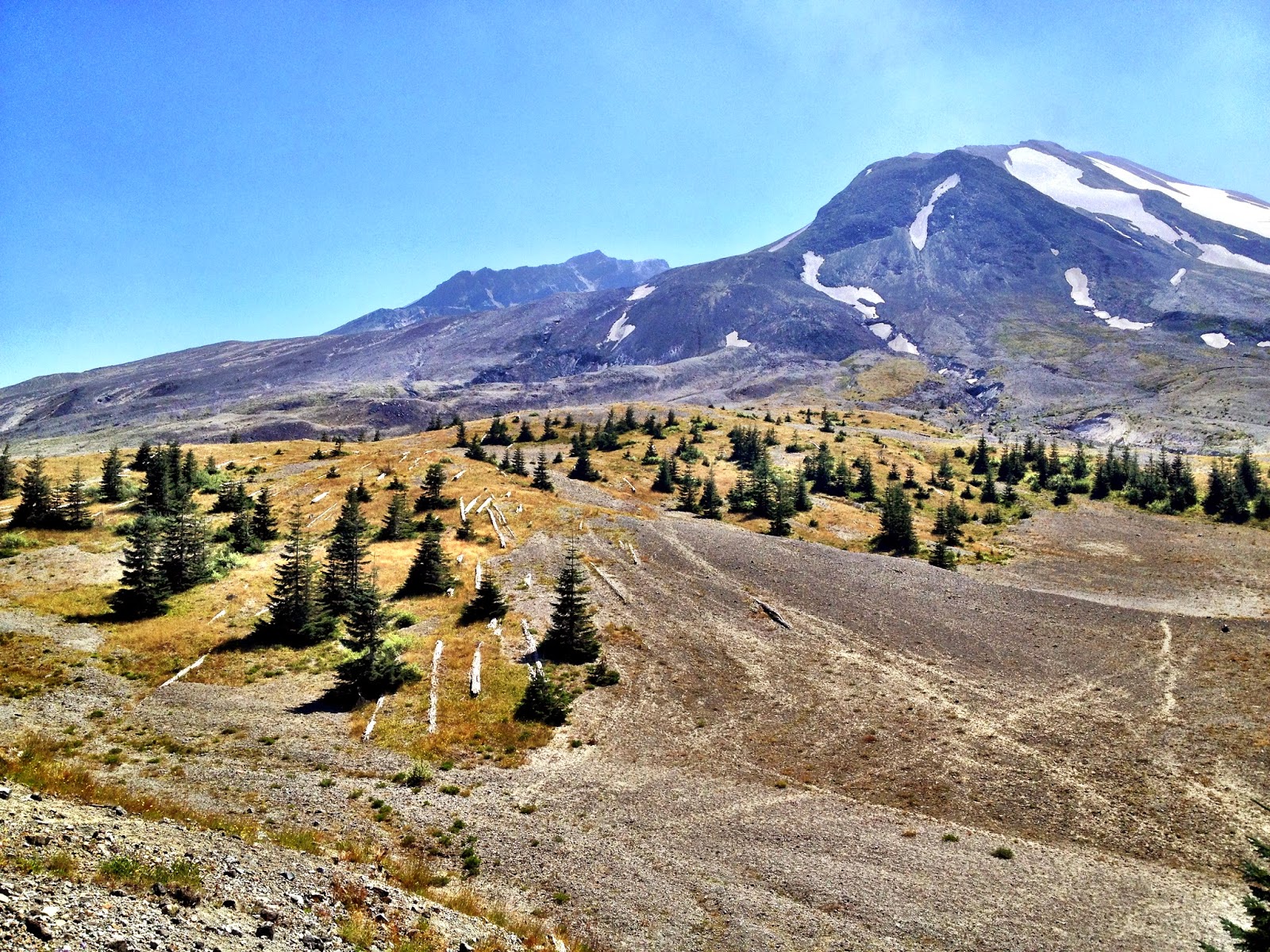 Forever Pace: Jbob's Volcanic 50k Race Report - Mt. St. Helens ...