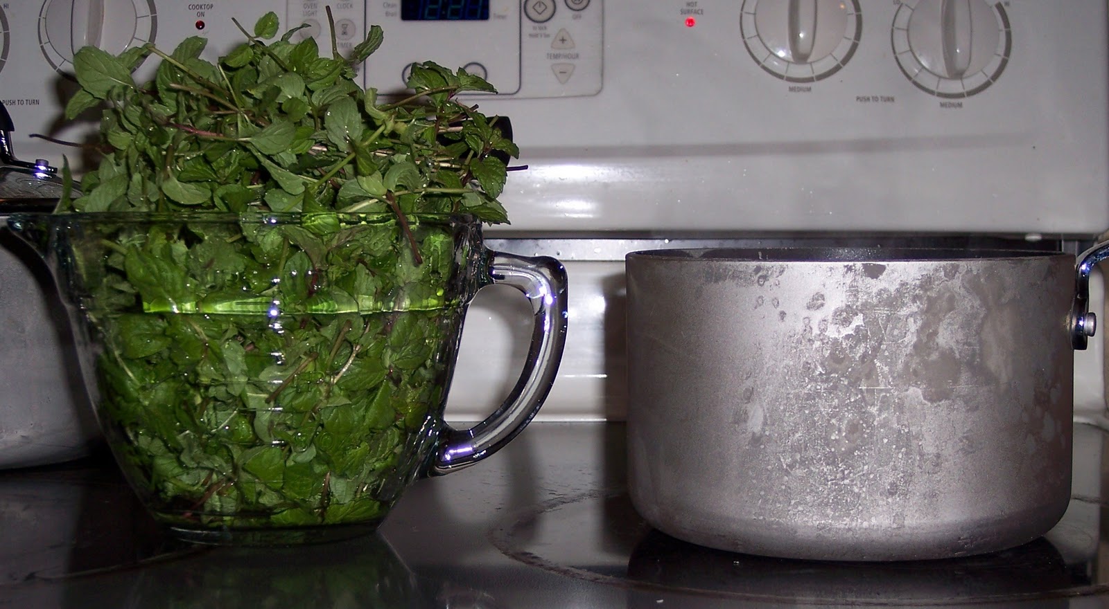 Stone Cottage Adventures: Spearmint Tea