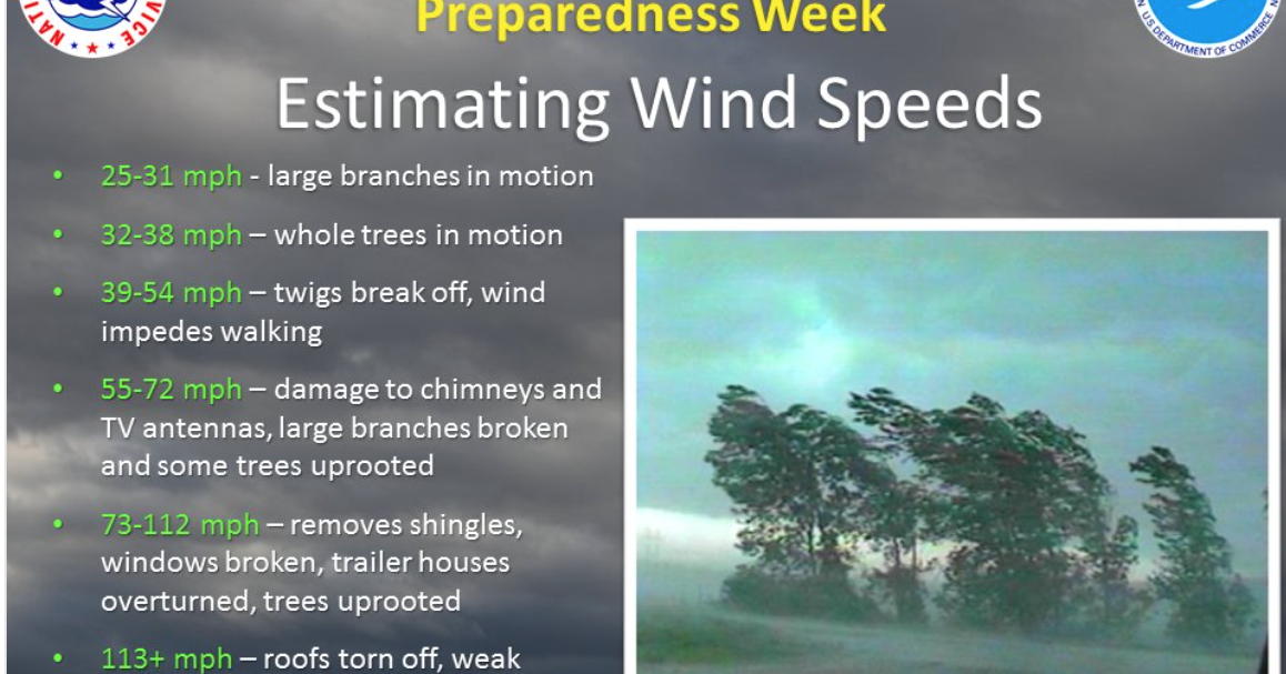 MSE Creative Consulting Blog: How Do You Estimate Wind Speeds?