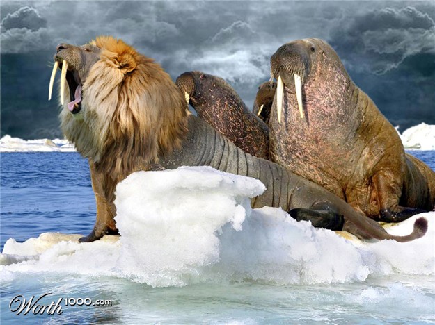 Advanced Projects in Computers: Photoshop: Plantimal / Chimera