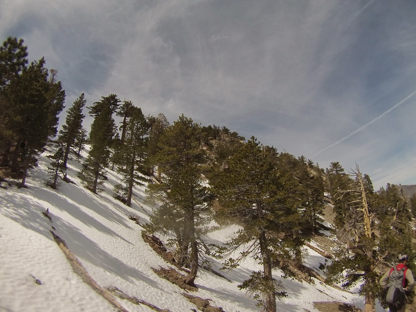 Iron Hiker: Thunder Mountain, Telegraph Peak, West Telegraph Peak