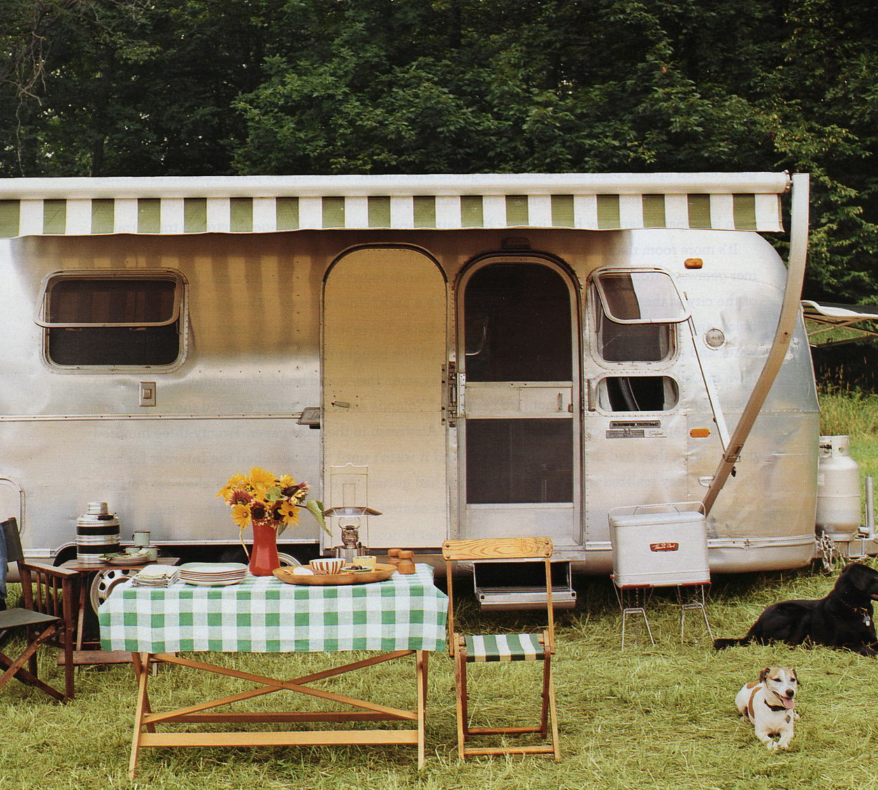 The William Brown Project: June 2011