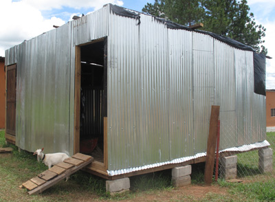 Livingstone Man: Goat House Project