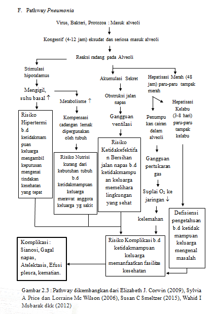 NURSING STUDY: Pathway Pneumonia