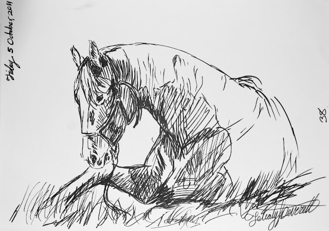 Felicity Deverell: Pen and Ink challenge