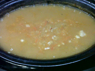 LEKKER RESEPTE VIR DIE JONGERGESLAG: SLOW-COOKER/ SOPPE/ VIS