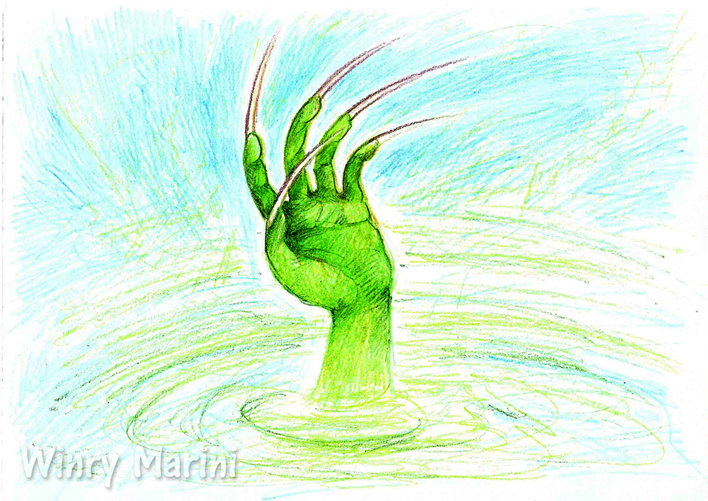 Indonesian Folklore (Folklor Indonesia): The Golden Cucumber ...