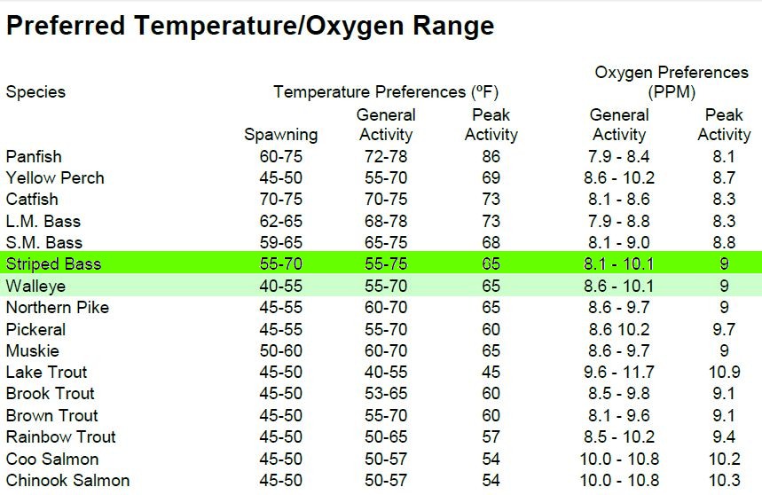 Effective Freshwater Fishing Tips for Anglers While Fishing in Texas Bay